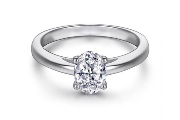 Top 13 Ring Shank Styles for Jewelry Sellers - Jewepiter